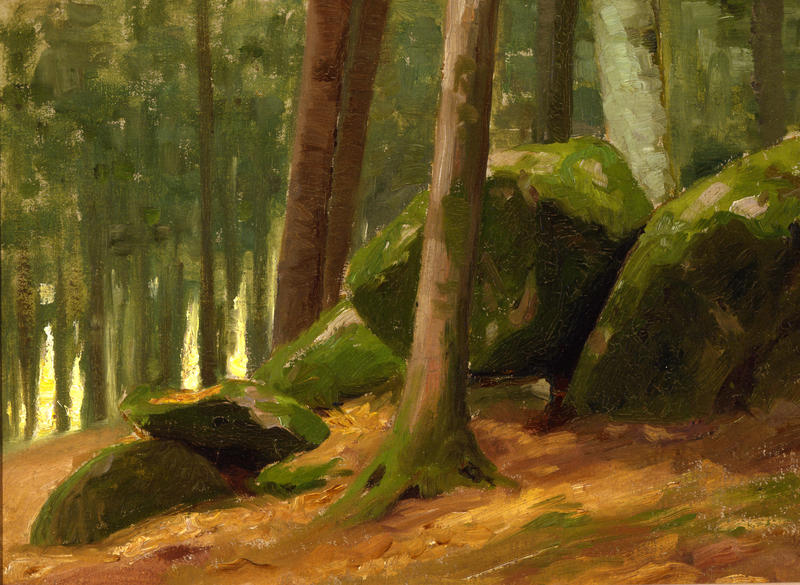In the Woods - Farnsworth Art Museum