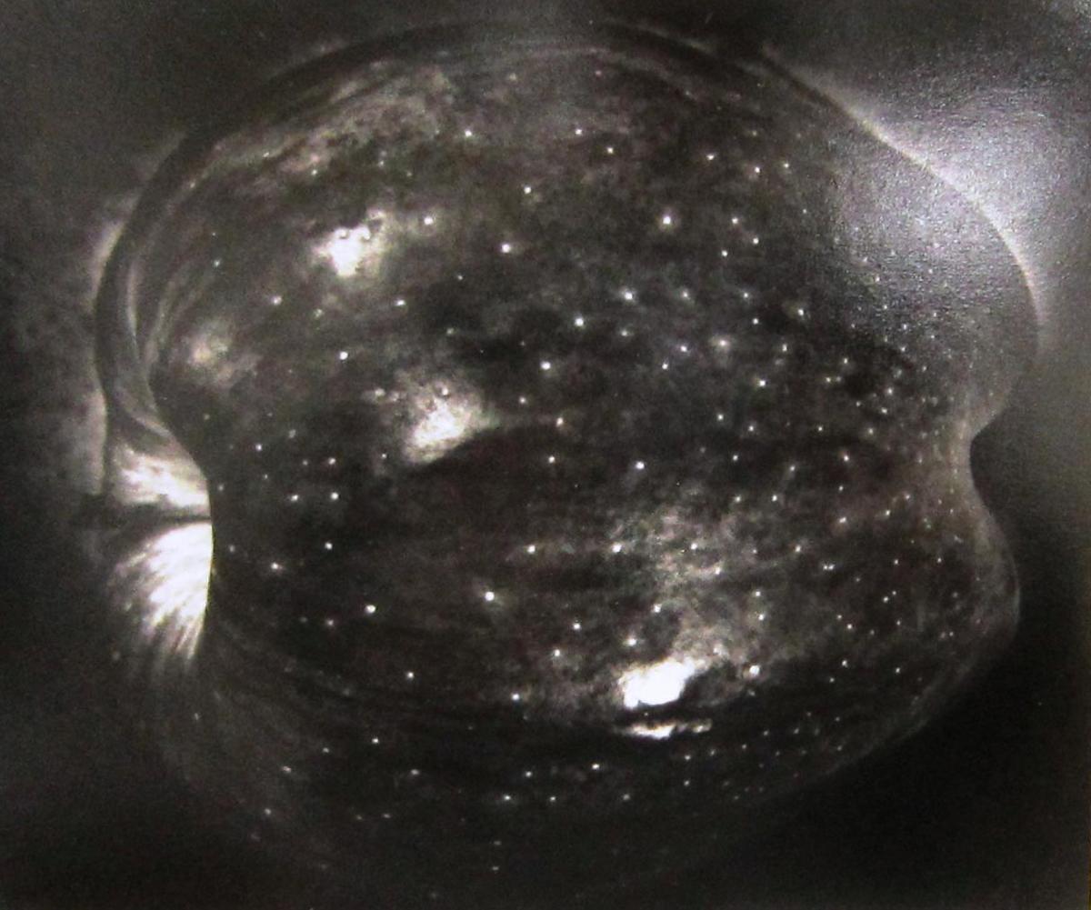 Galaxy Apple, New York - Farnsworth Art Museum