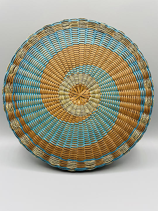 Periwinkle Snail 2 - Farnsworth Art Museum